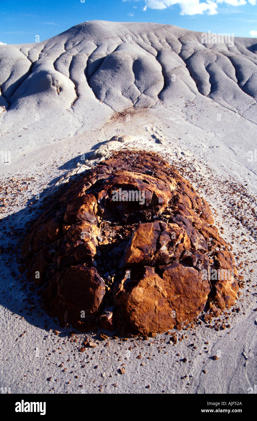 An iron rich boulder in Dinosaur Provincial Park, Alberta, Canada Stock ...