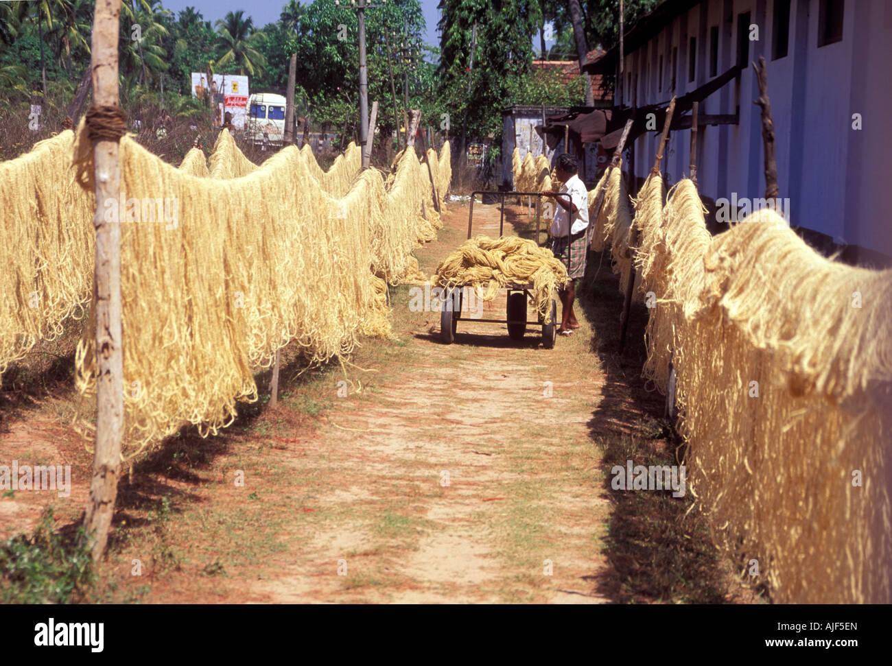 Village Life In Kerala