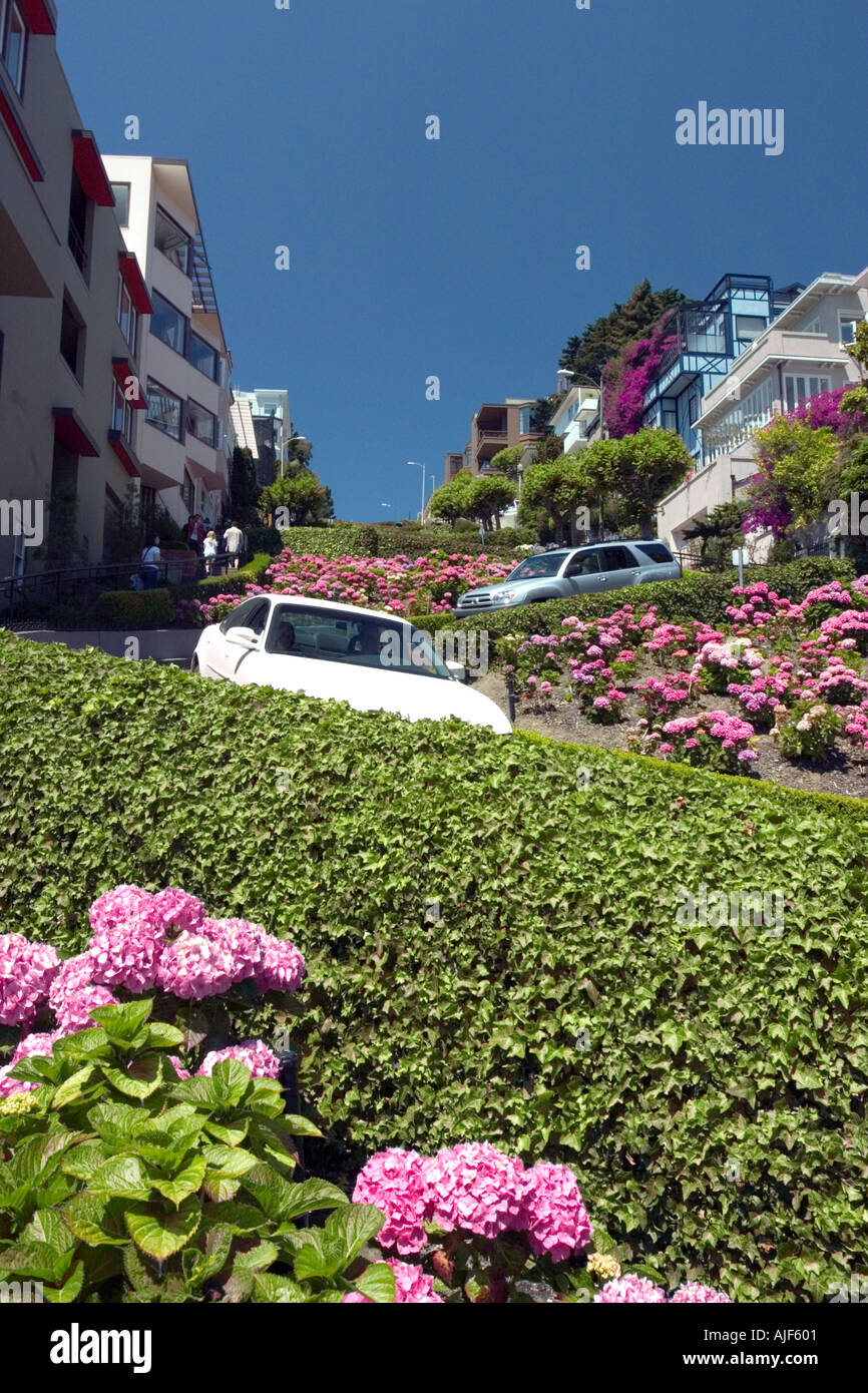 Crookedest street in the world san francisco lombard street hi-res ...