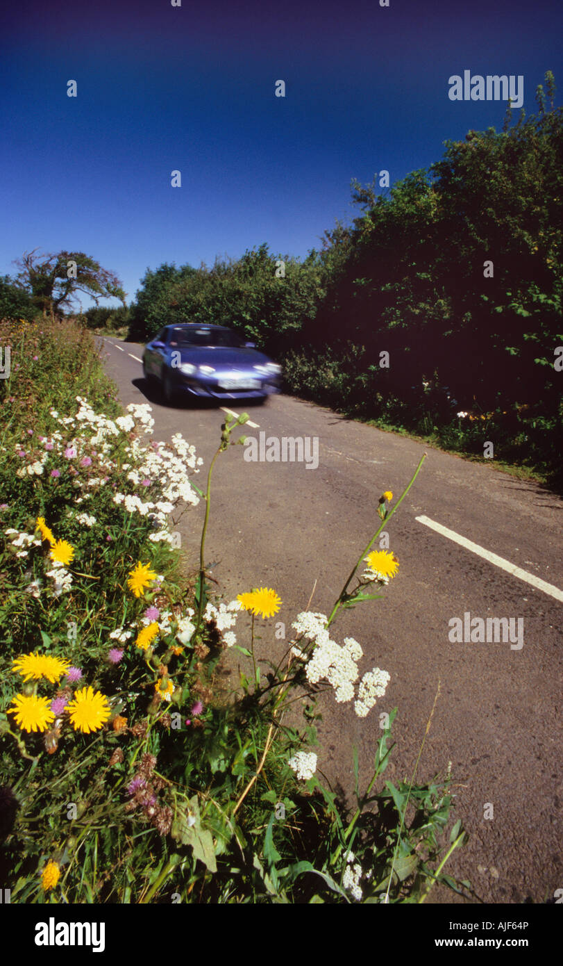 car travelling down quiet country road passing wild flowers growing in ...