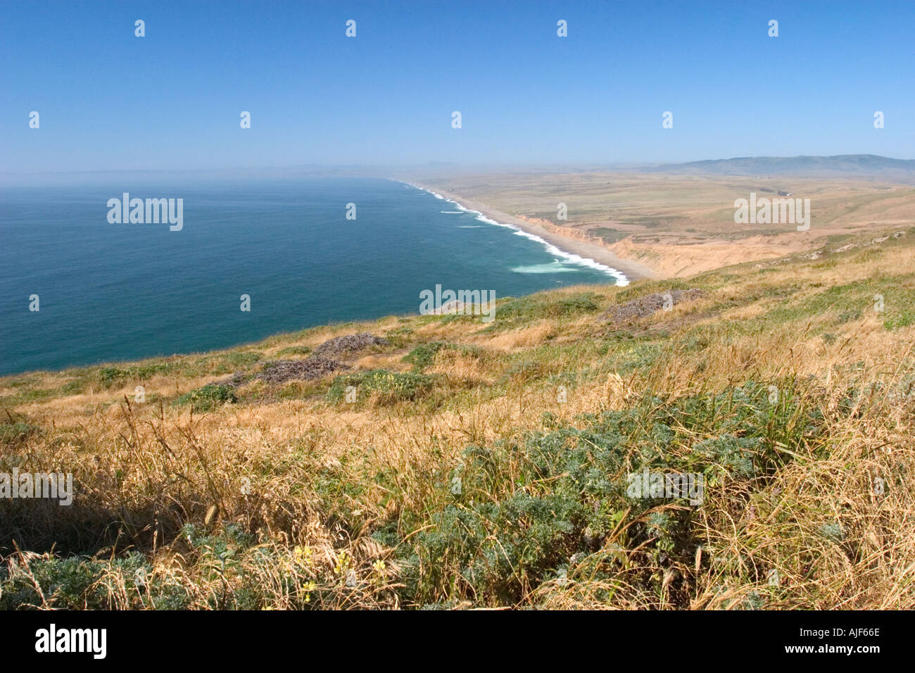 California coast at Point Reyes National Seashore Stock Photo - Alamy