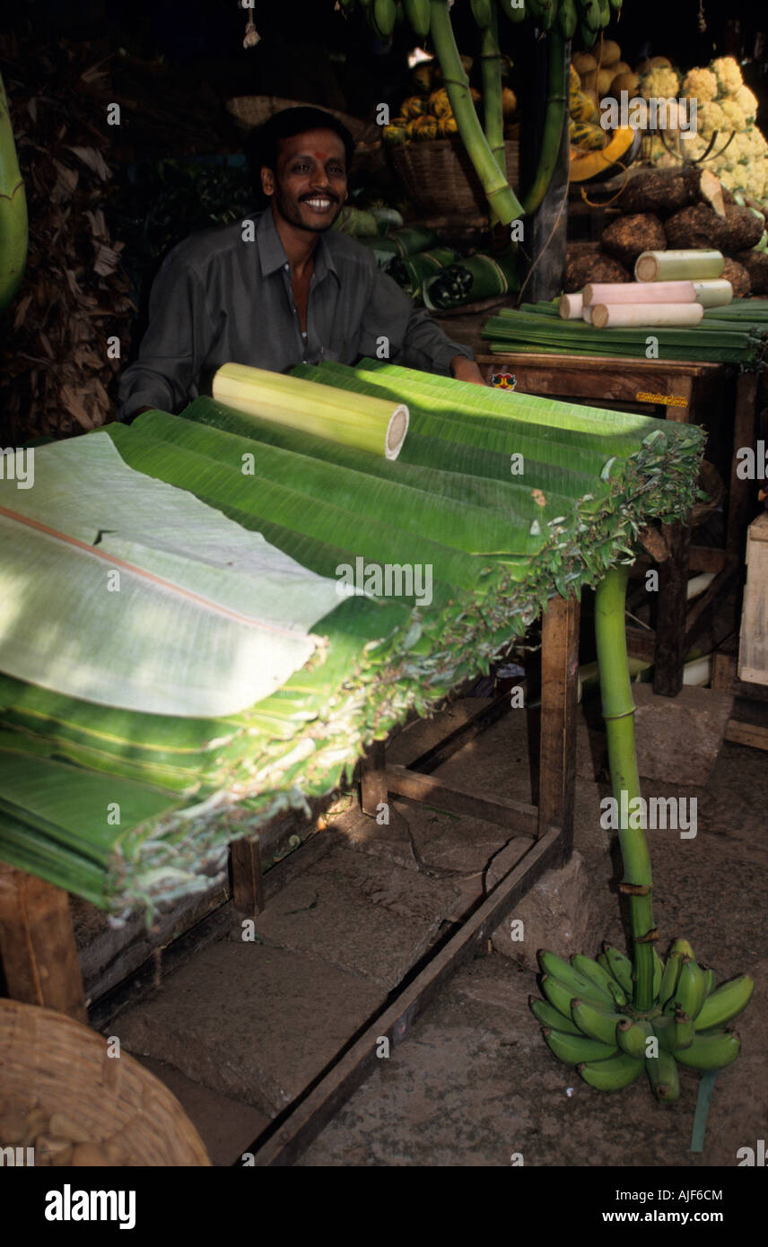 Leaf karnataka hi-res stock photography and images - Alamy