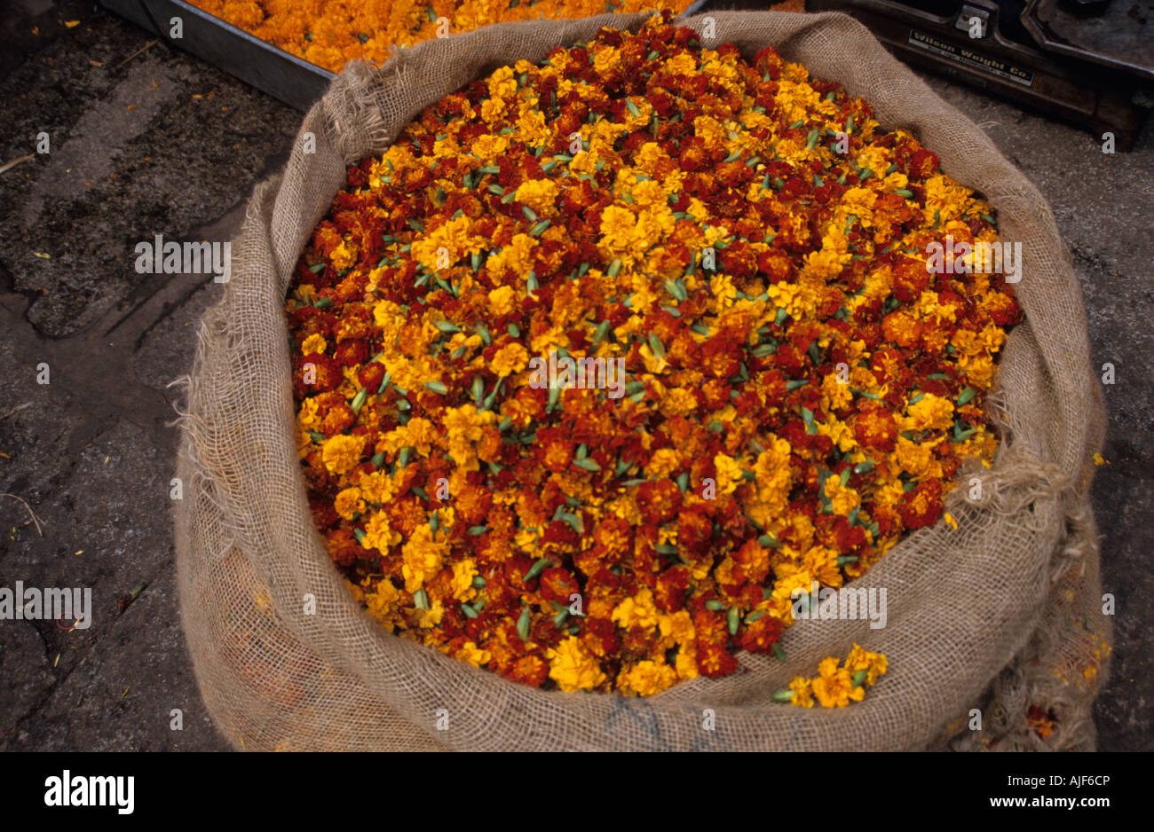 South India Karnataka Mysore Flower Market Stock Photo - Alamy