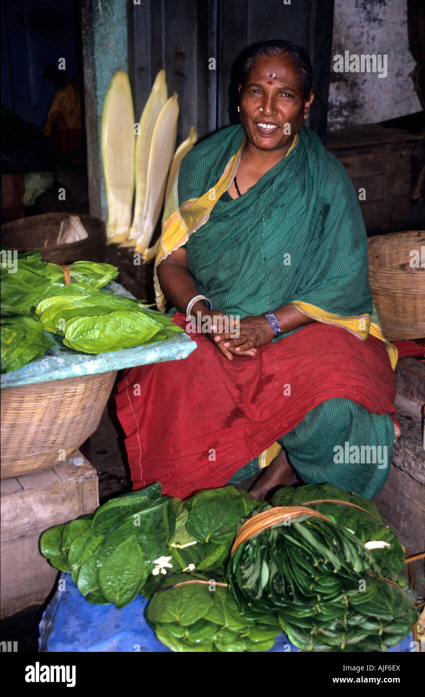 Leaf karnataka hi-res stock photography and images - Alamy