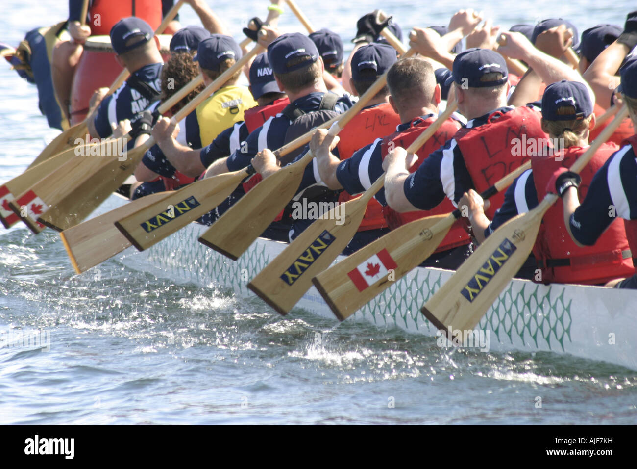dragon boat team working together padding in unison Stock Photo - Alamy