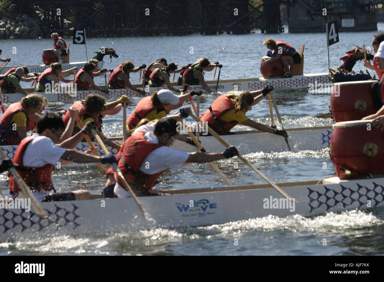 dragon boat team working together padding in unison Stock Photo - Alamy