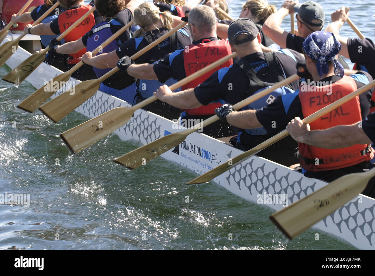 dragon boat team working together padding in unison Stock Photo - Alamy