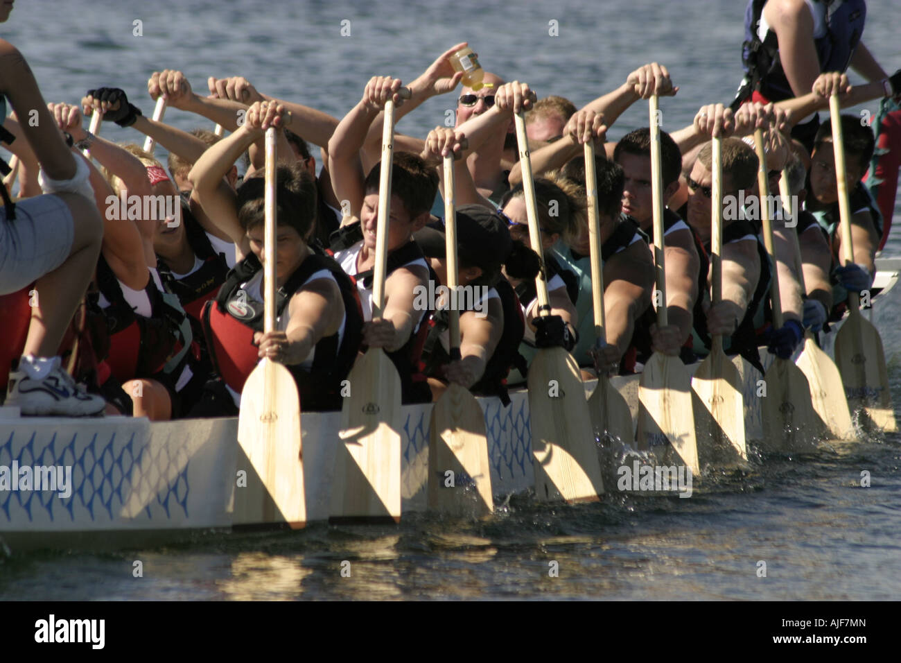 dragon boat team working together padding in unison Stock Photo - Alamy