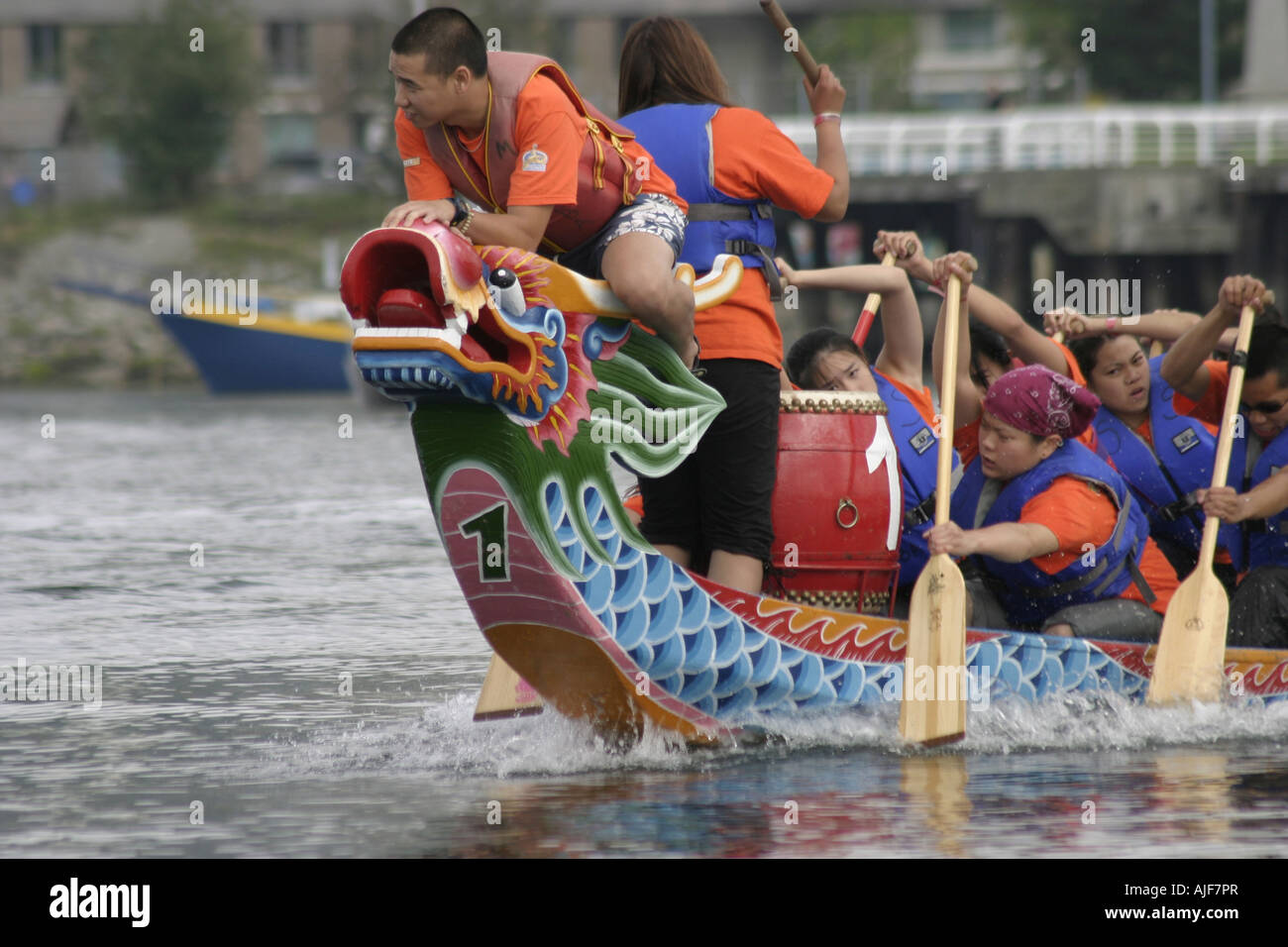 dragon boat team working together padding in unison Stock Photo - Alamy