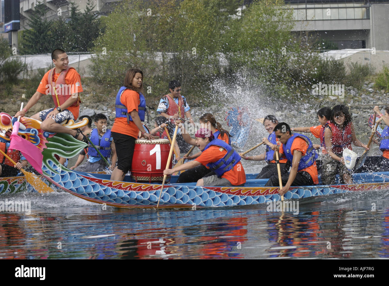 dragon boat team working together padding in unison Stock Photo - Alamy