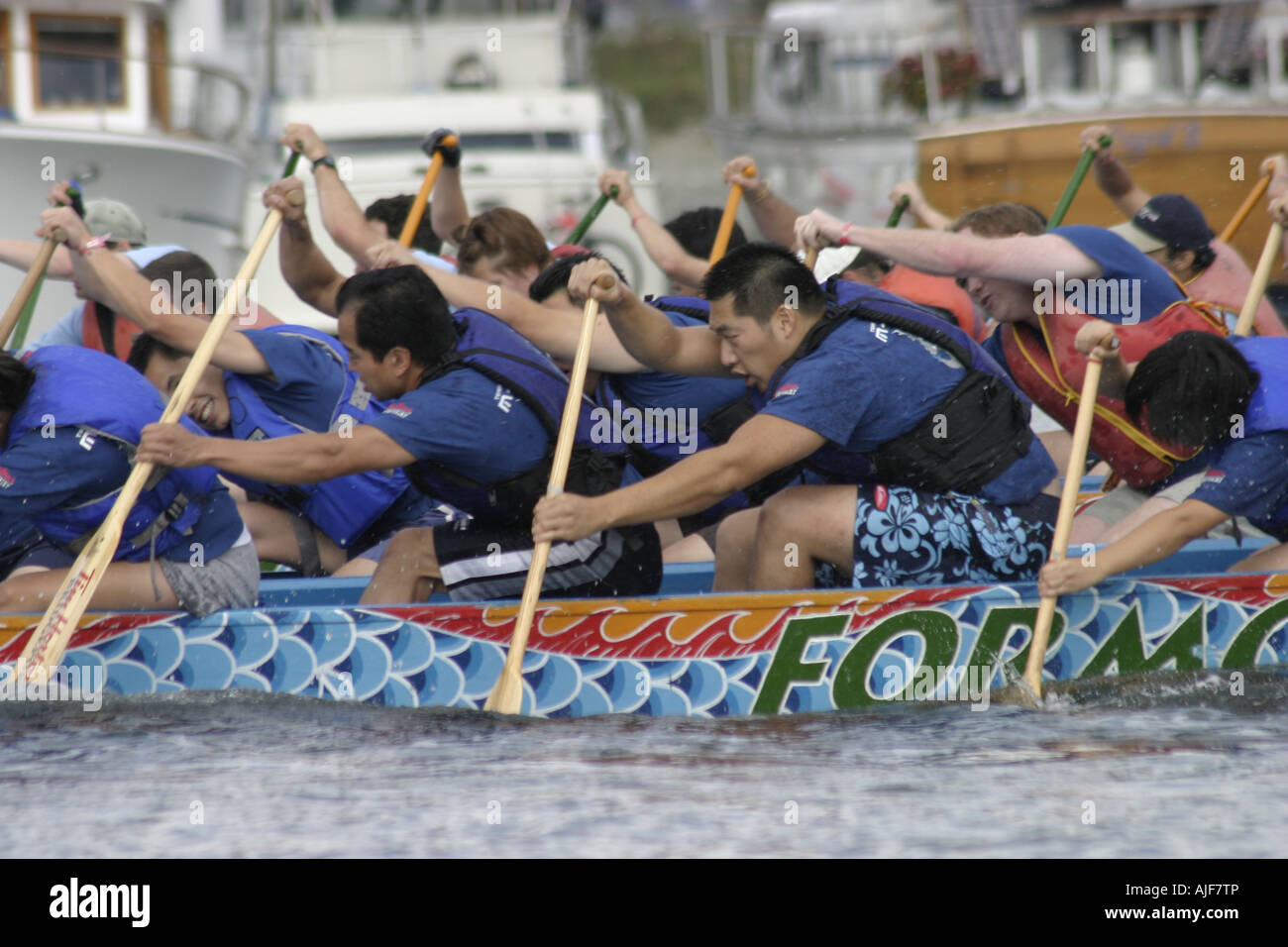 dragon boat team working together padding in unison Stock Photo - Alamy