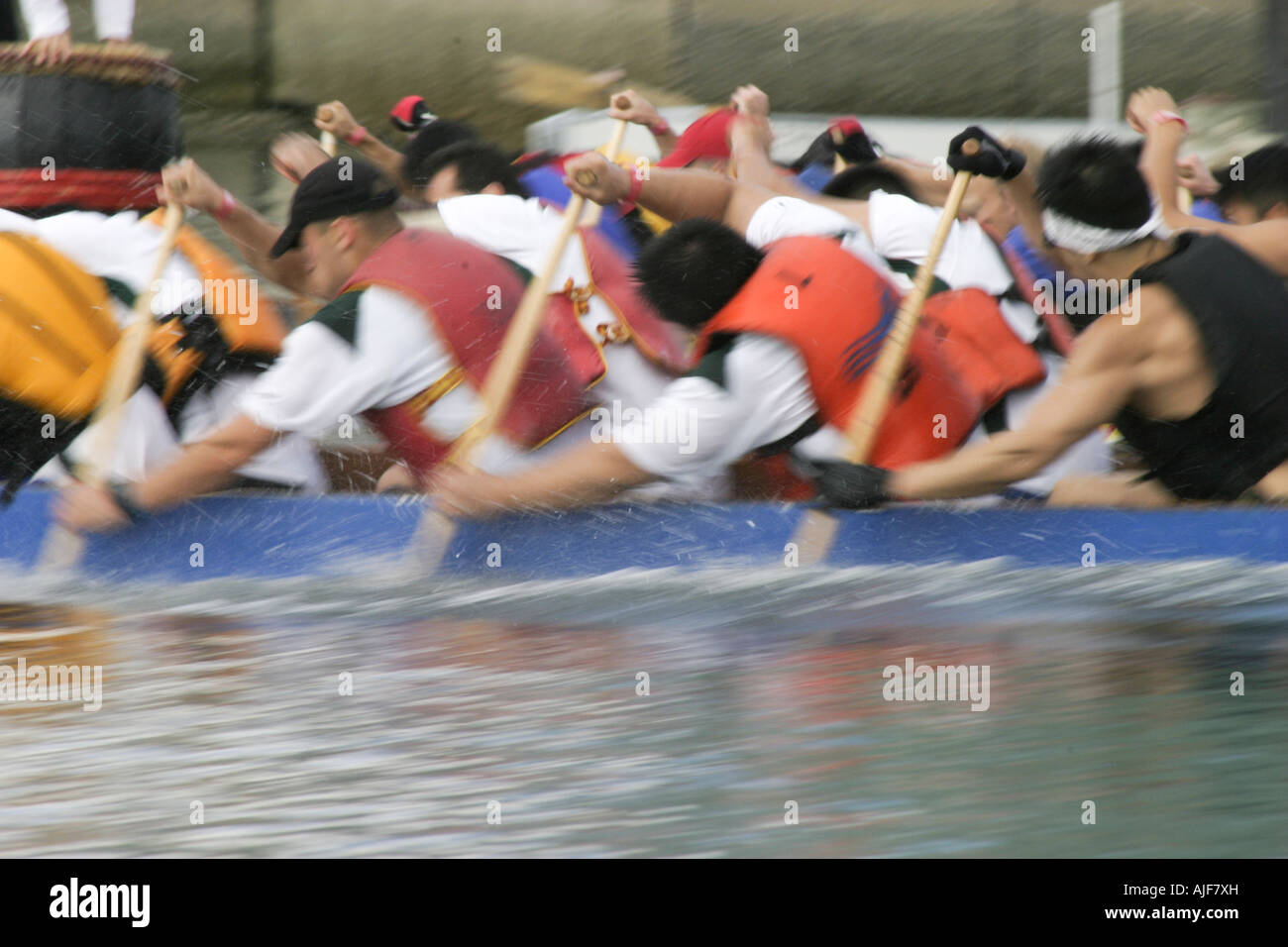 dragon boat team working together padding in unison Stock Photo - Alamy