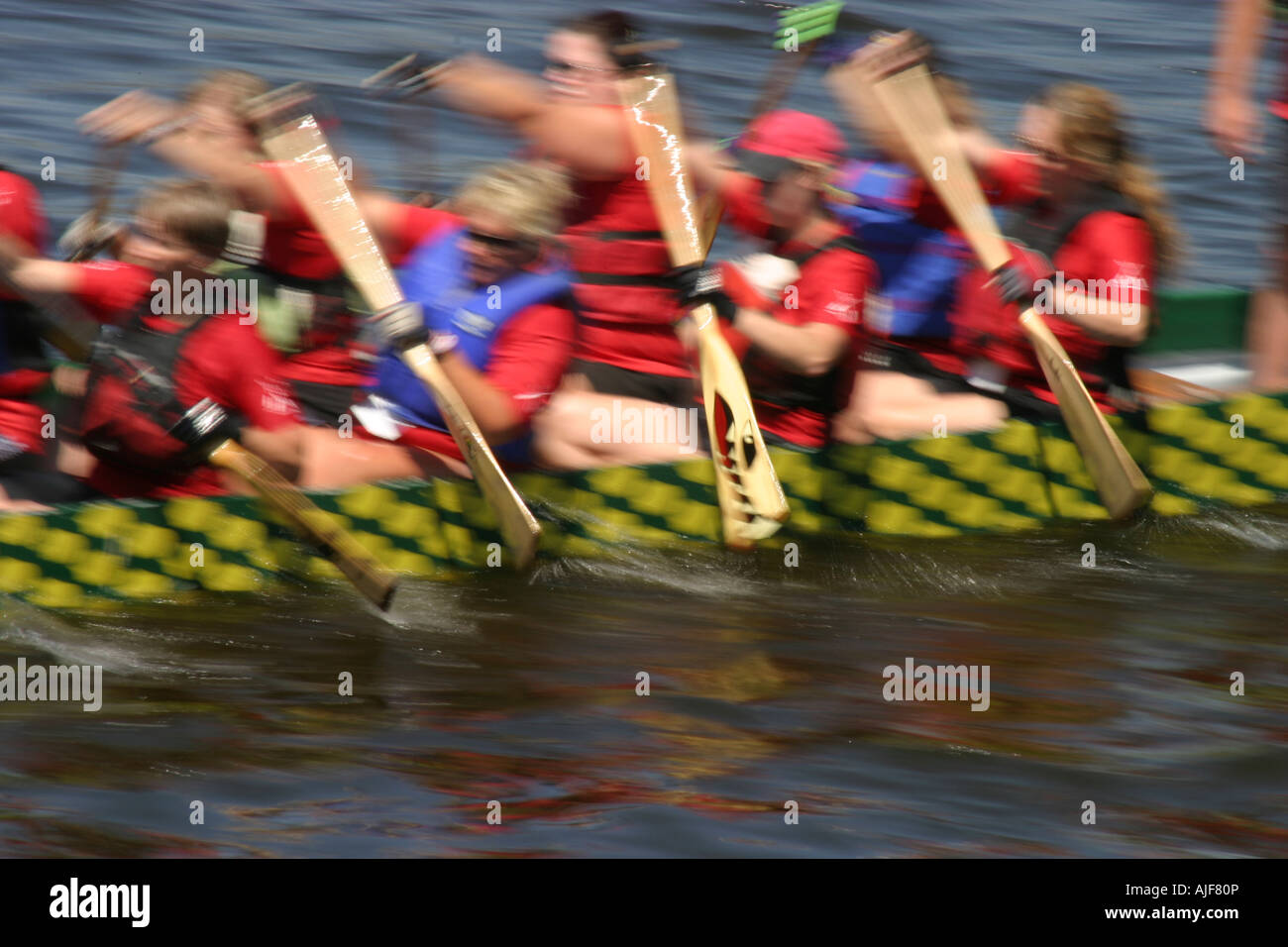dragon boat team working together padding in unison Stock Photo - Alamy