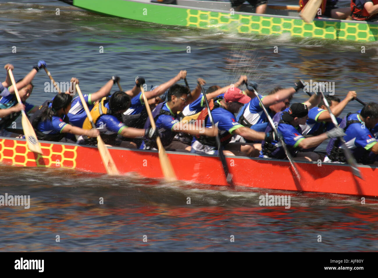 dragon boat team working together padding in unison Stock Photo - Alamy