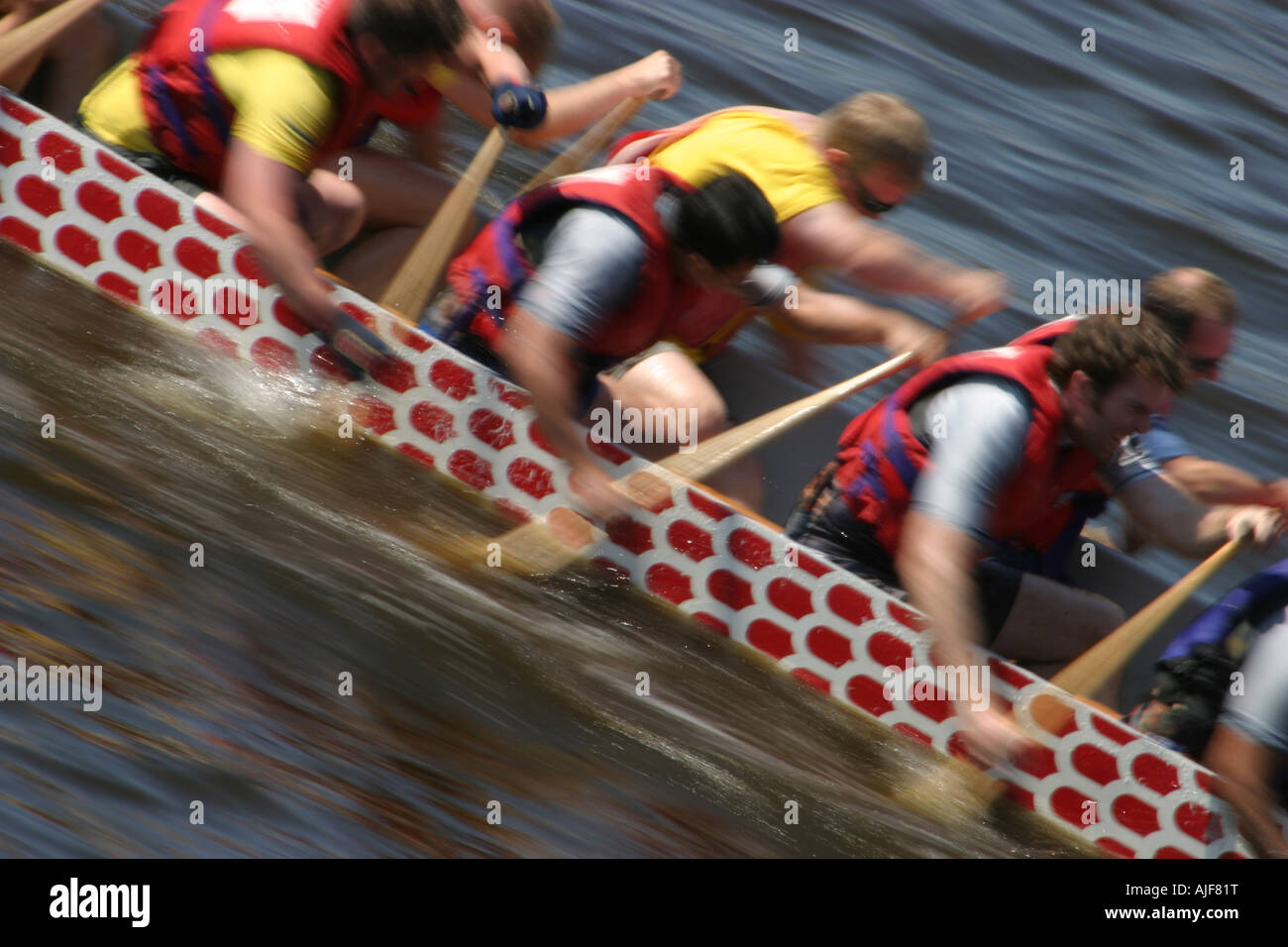 dragon boat team working together padding in unison Stock Photo - Alamy