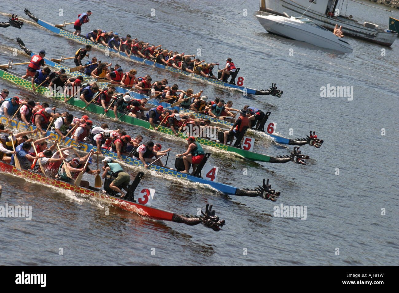 dragon boat team working together padding in unison Stock Photo - Alamy