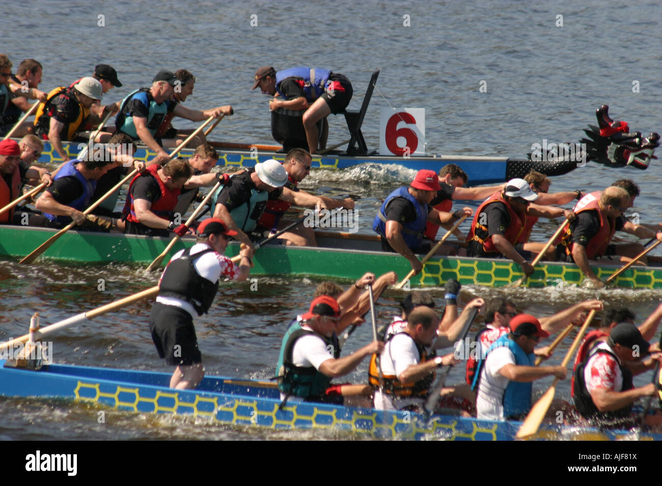 dragon boat team working together padding in unison Stock Photo - Alamy