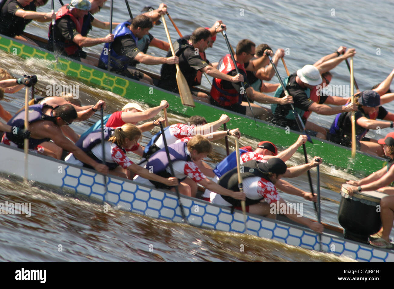 dragon boat team working together padding in unison Stock Photo - Alamy