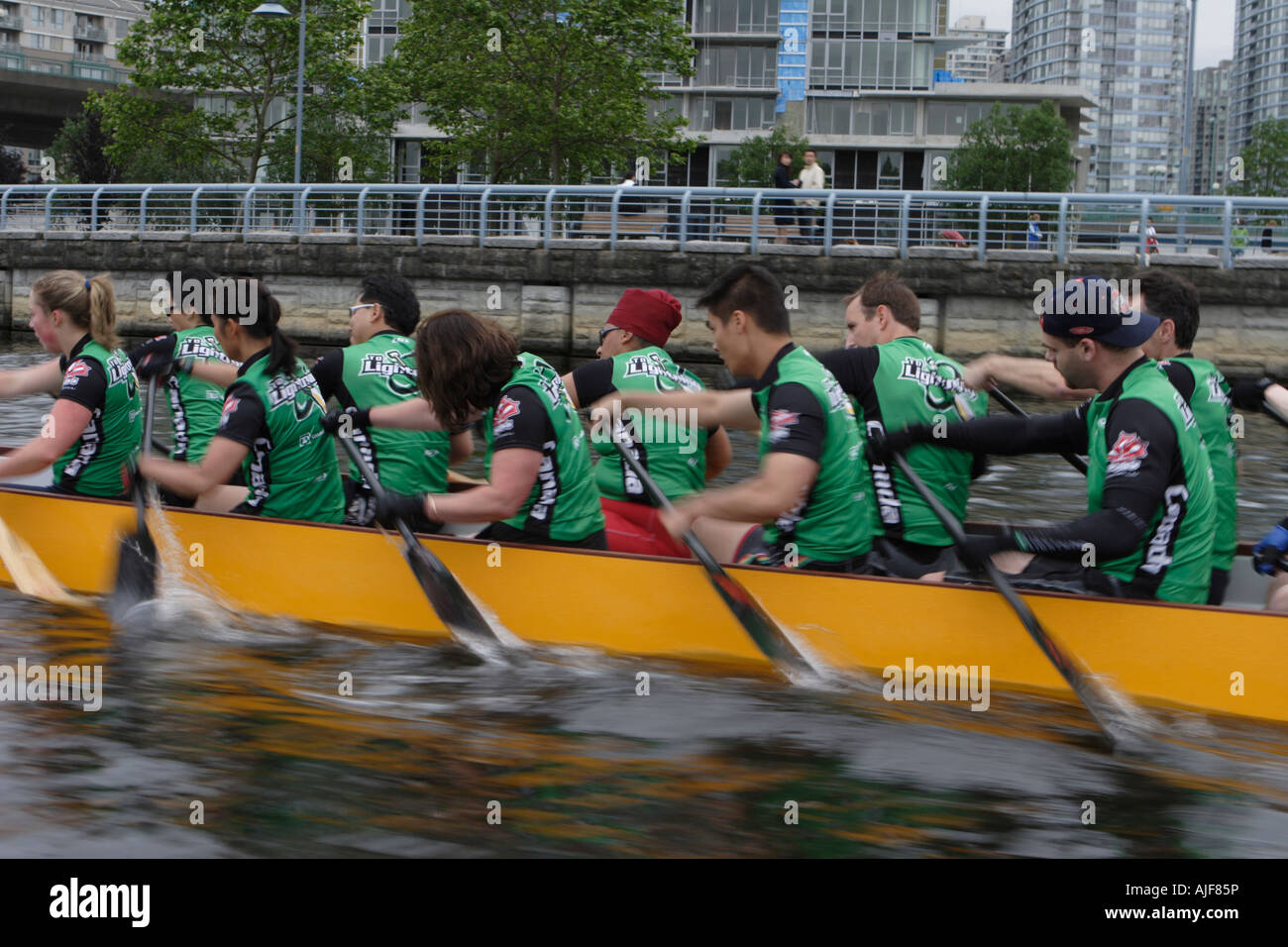 dragon boat team working together padding in unison Stock Photo - Alamy