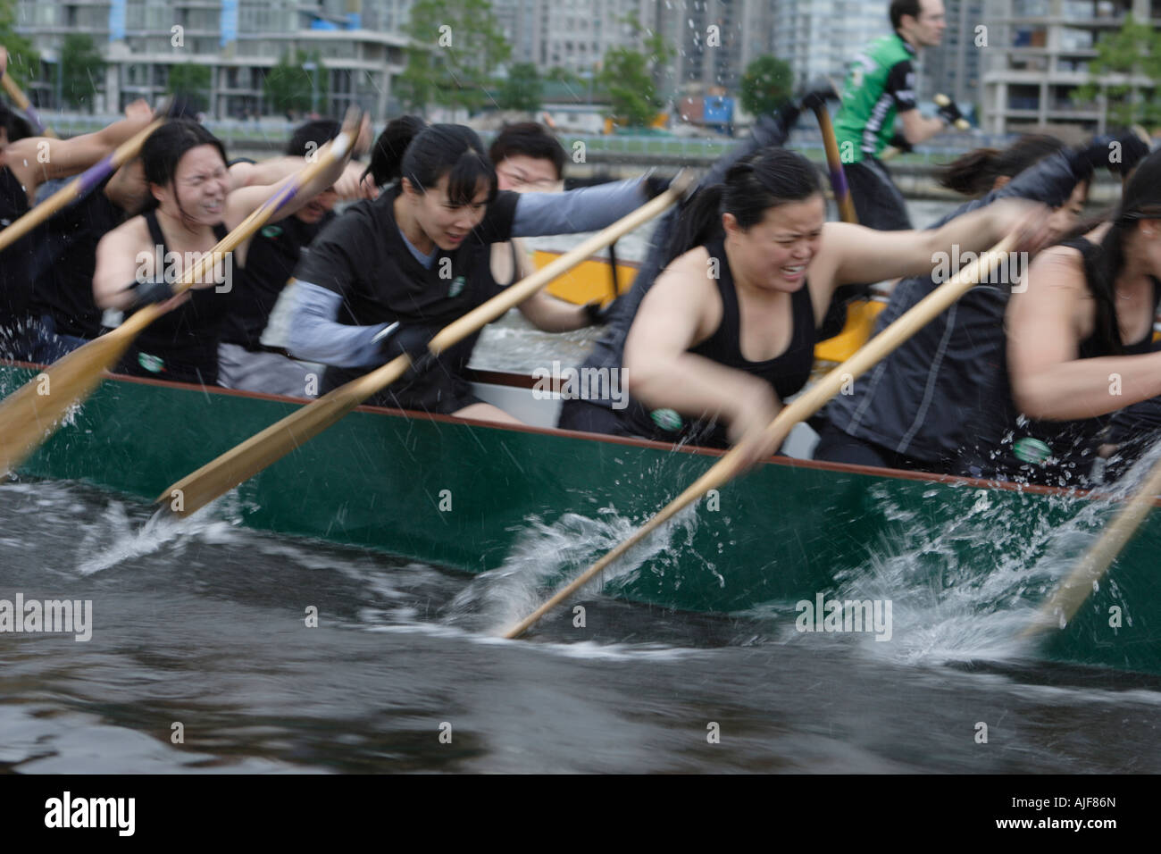 dragon boat team working together padding in unison Stock Photo - Alamy