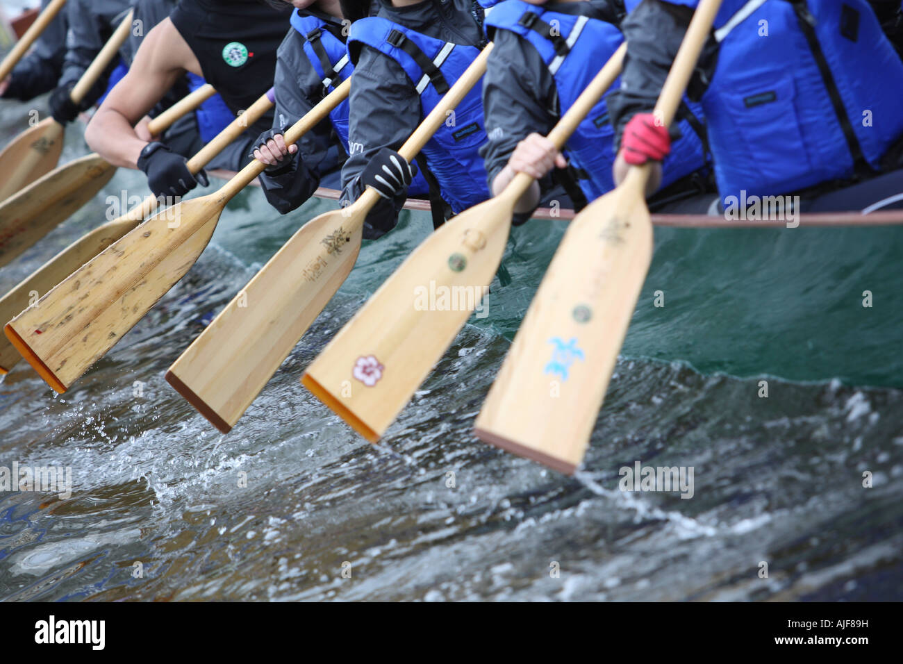 dragon boat team working together padding in unison Stock Photo - Alamy