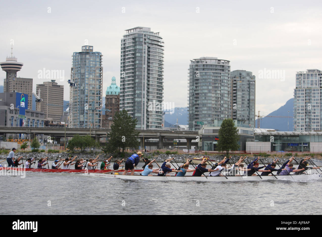 dragon boat team working together padding in unison Stock Photo - Alamy
