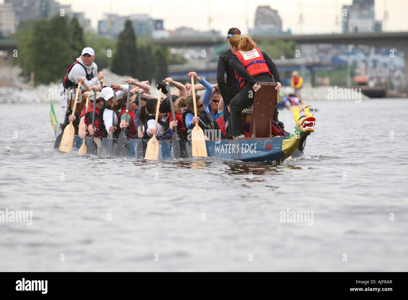 dragon boat team working together padding in unison Stock Photo - Alamy