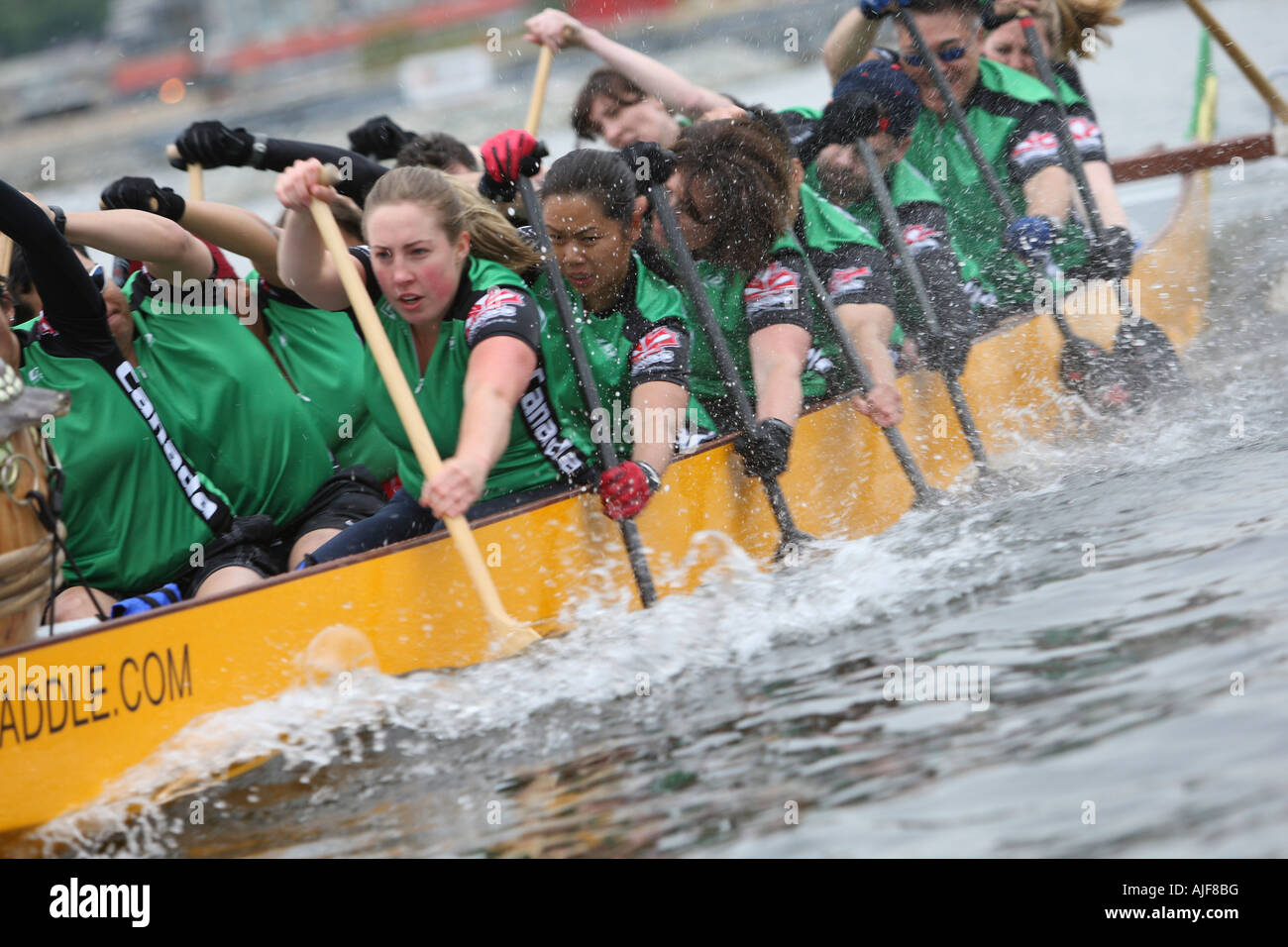 dragon boat team working together padding in unison Stock Photo - Alamy