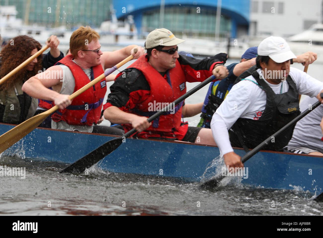dragon boat team working together padding in unison Stock Photo - Alamy