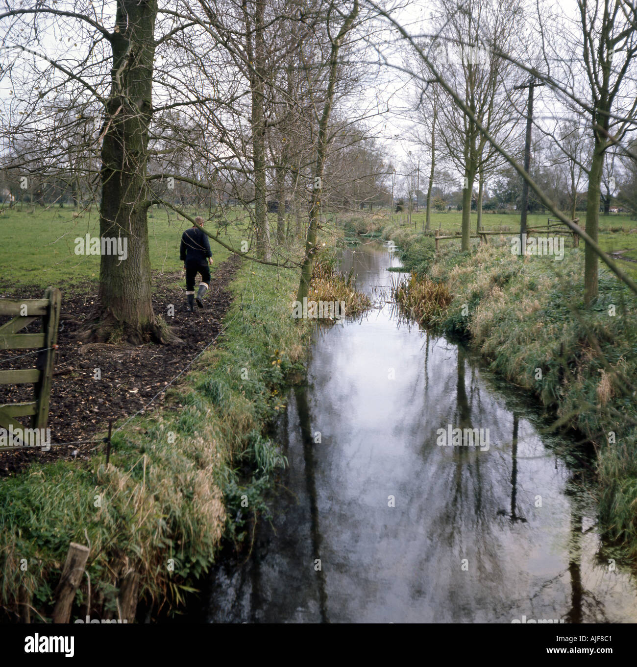 River at Mendham Norfolk Stock Photo - Alamy