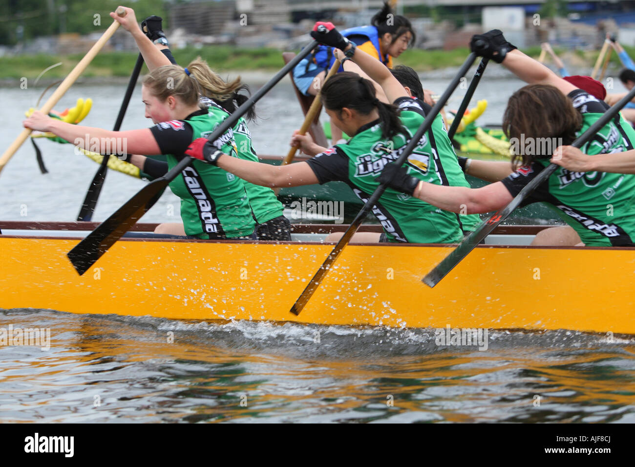 dragon boat team working together padding in unison Stock Photo - Alamy