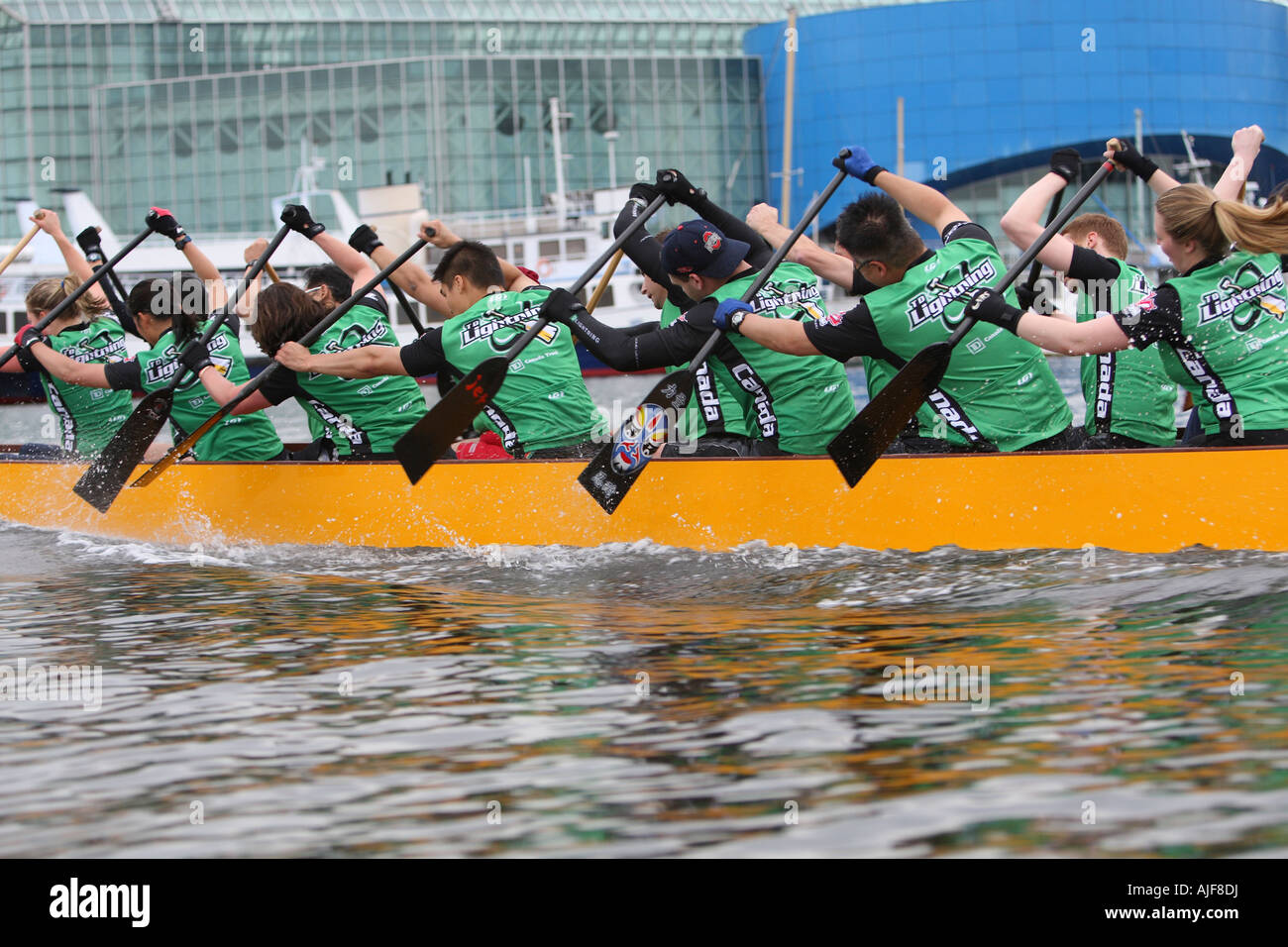 dragon boat team working together padding in unison Stock Photo - Alamy
