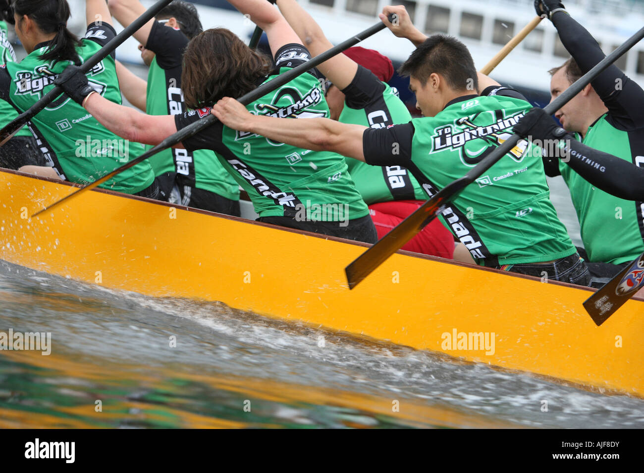 dragon boat team working together padding in unison Stock Photo - Alamy