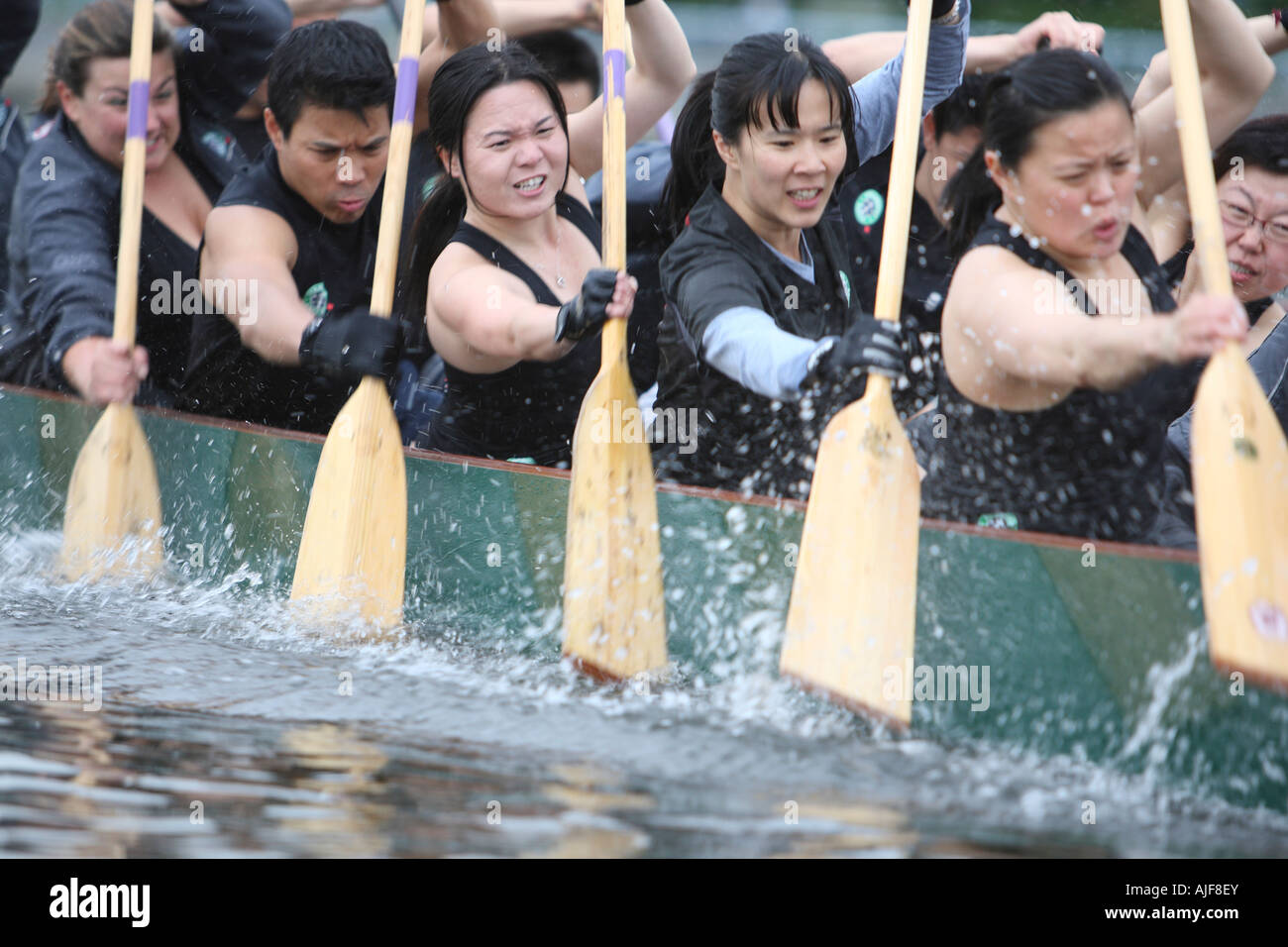 dragon boat team working together padding in unison Stock Photo - Alamy