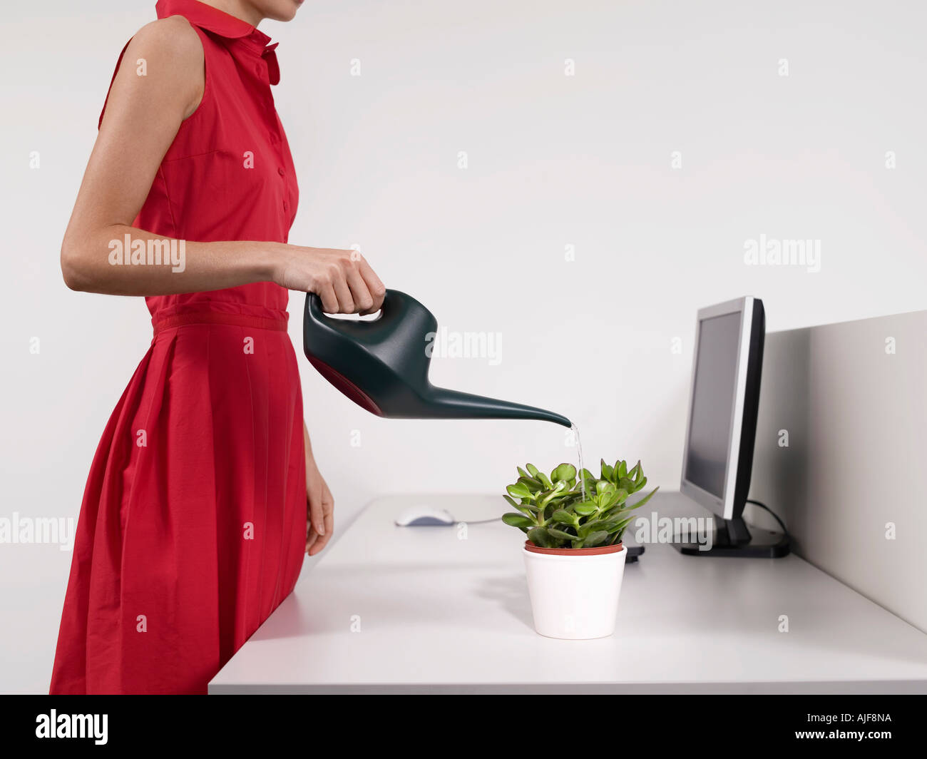 Female office worker watering desk plant Stock Photo - Alamy