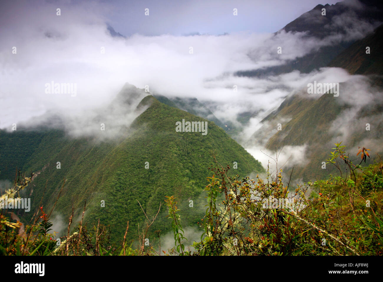 Misty mountains Urubamba river Canyon Vilcabamba mountain range UNESCO ...