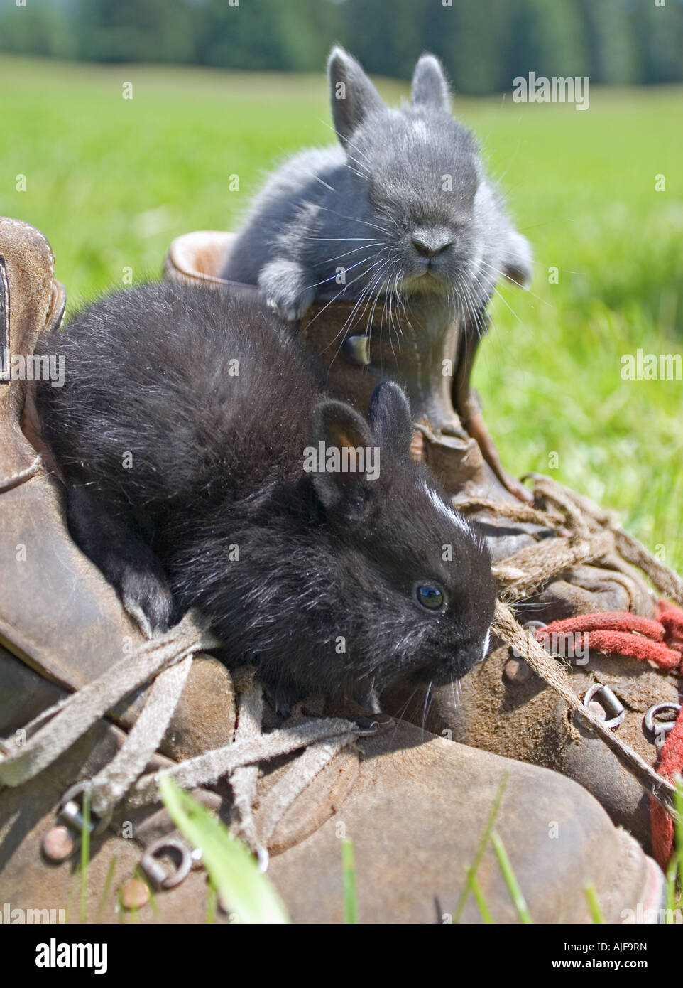 Big black boots hi-res stock photography and images - Alamy