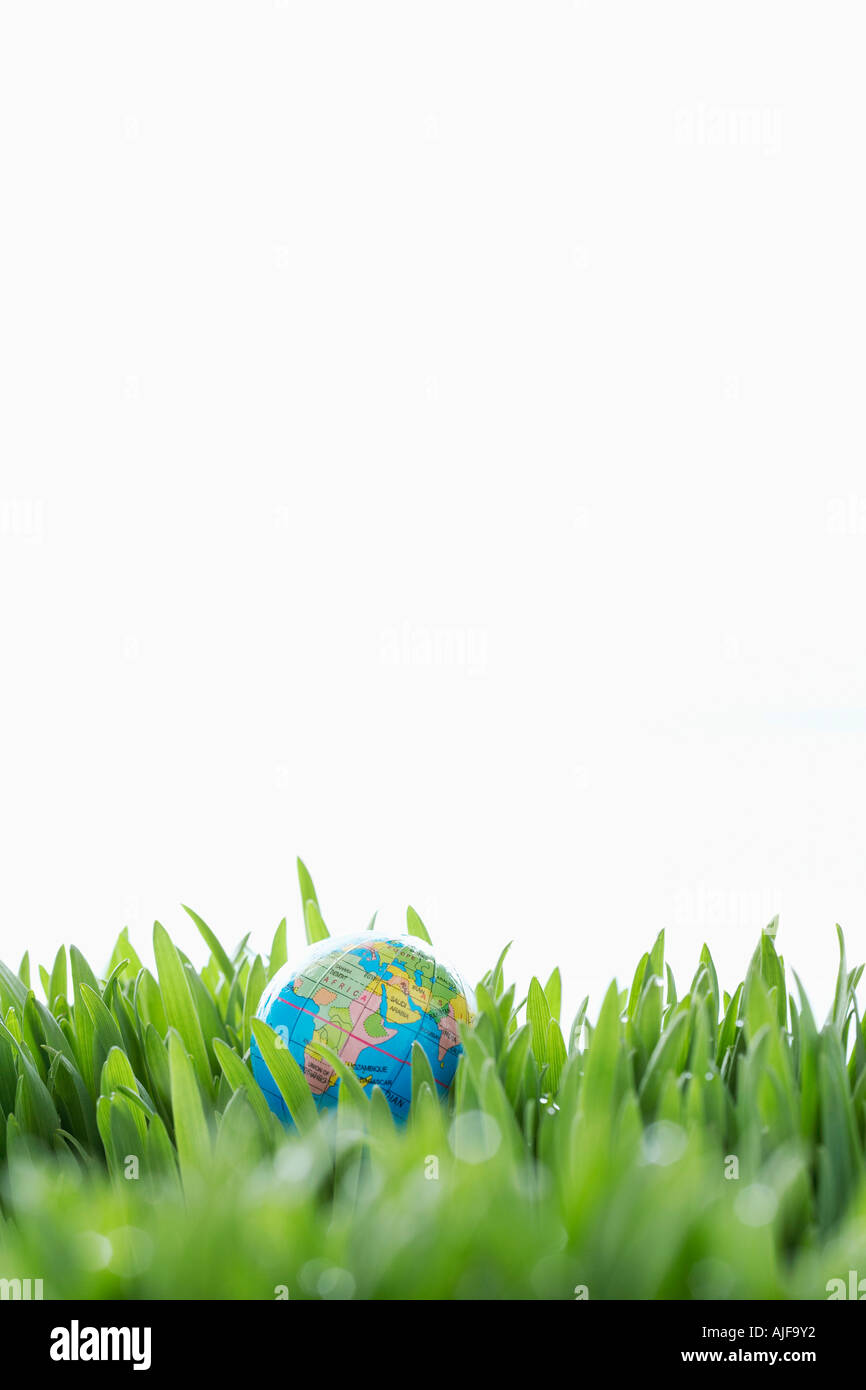 Small globe in grass Stock Photo - Alamy