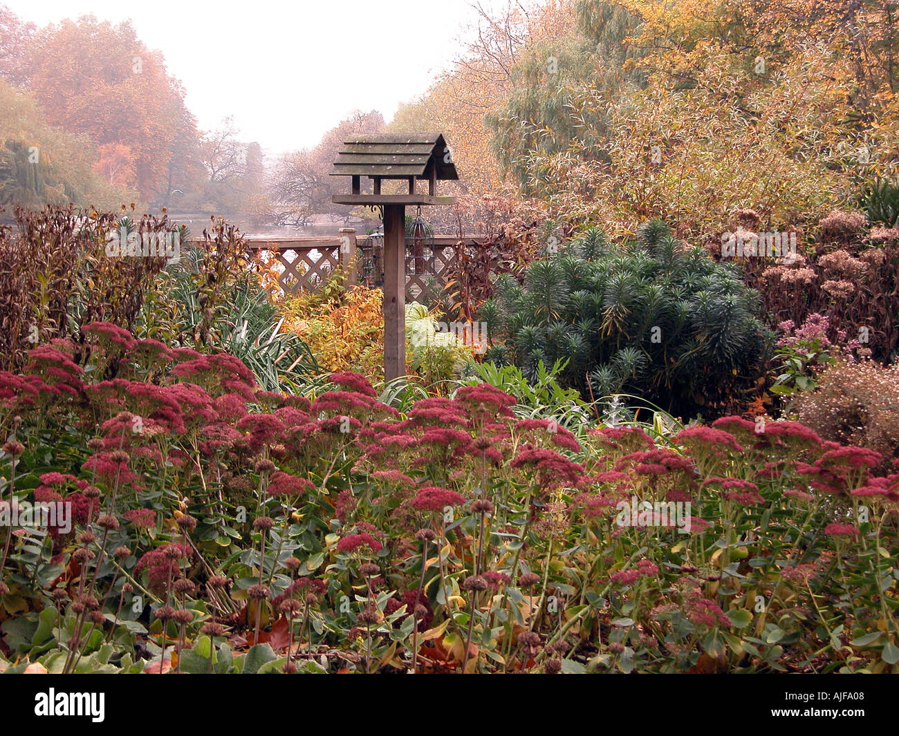 St James Park London Stock Photo - Alamy