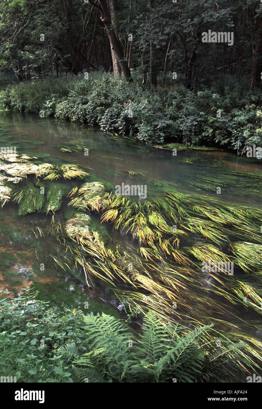 Sinuous river hi-res stock photography and images - Alamy