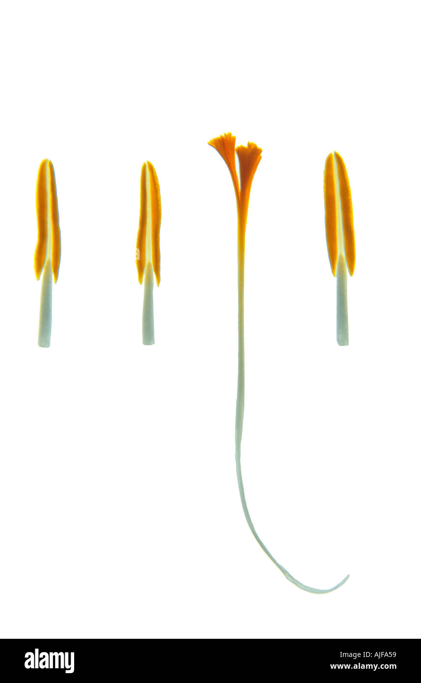 Colour parts hi-res stock photography and images - Alamy