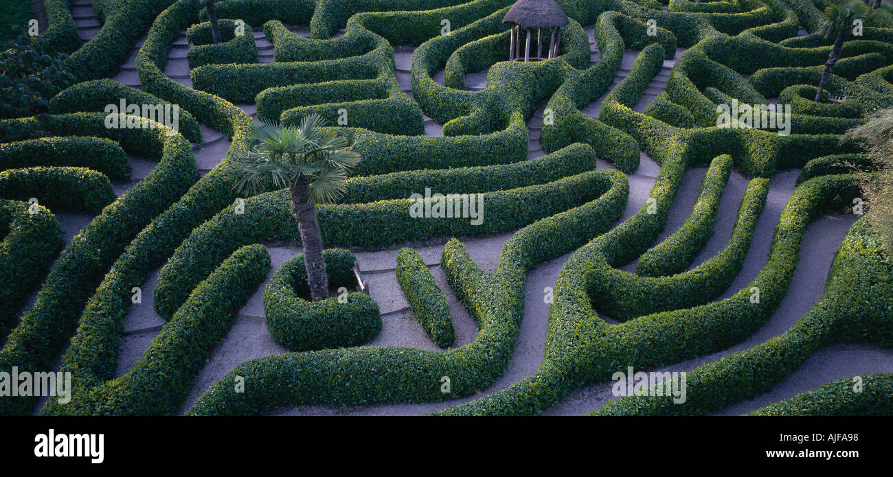 The laurel maze dating from 1833 at Glendurgan Cornwall Stock Photo - Alamy