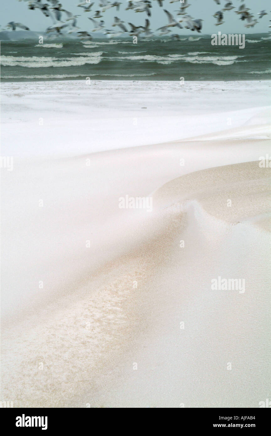 Winter Beach Scene Stock Photo - Alamy