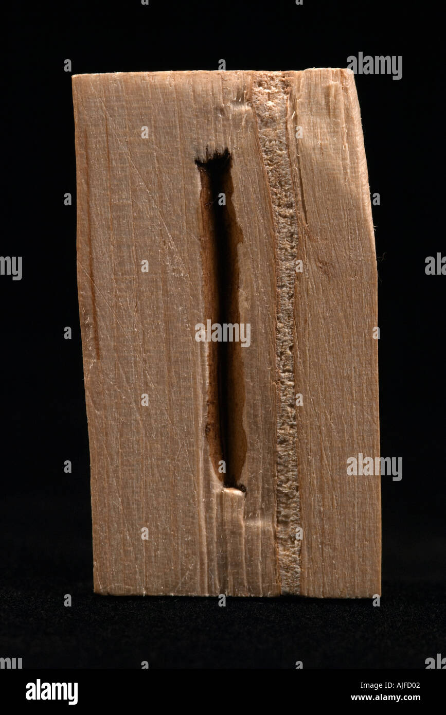 Traditional rune staves Stock Photo - Alamy