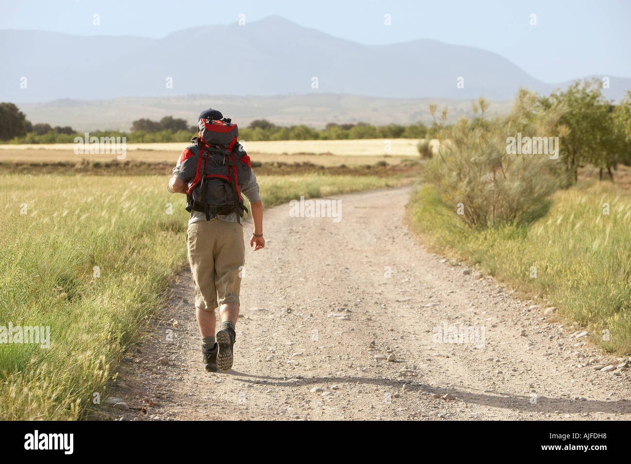 Hiker walking on country road, back view Stock Photo - Alamy