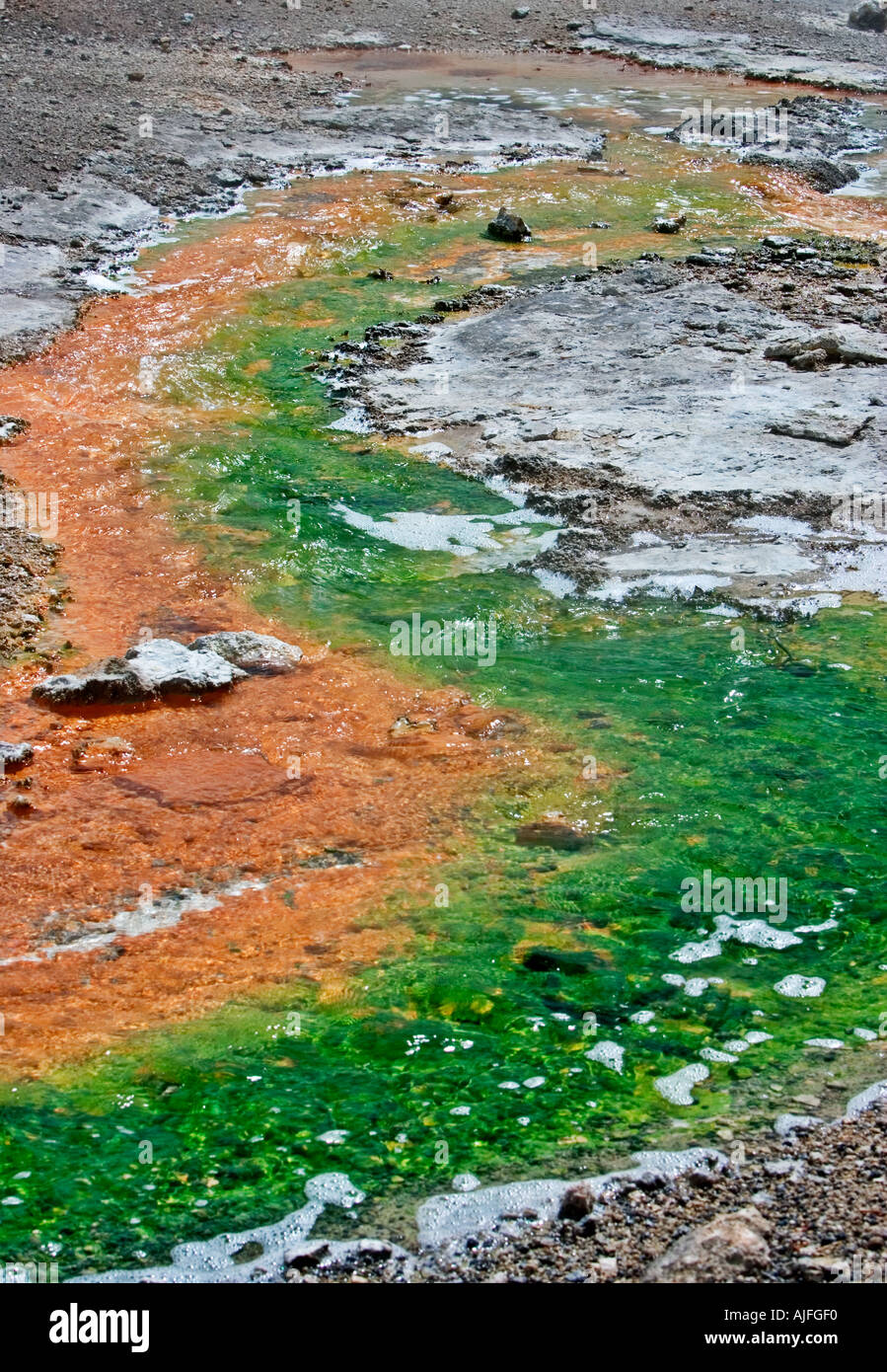Colorful S curve of geyser flow in Yellowstone Stock Photo - Alamy