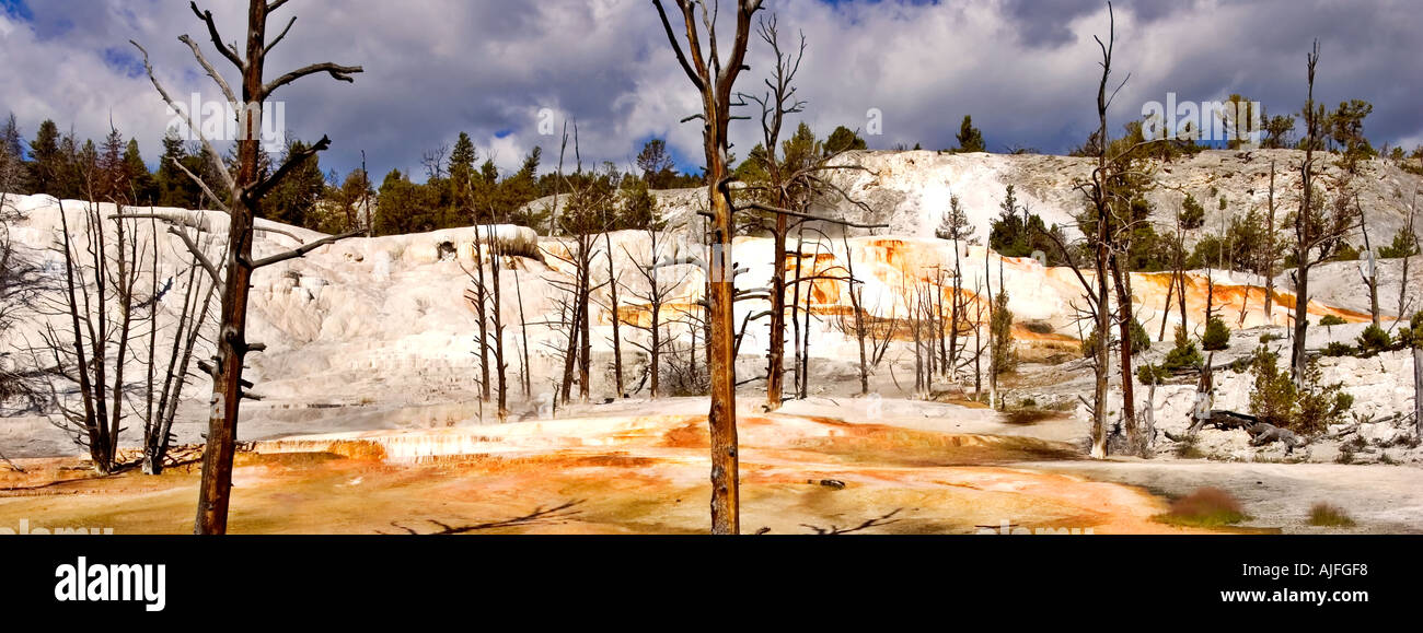 The colorful land of Yellowstone Stock Photo - Alamy