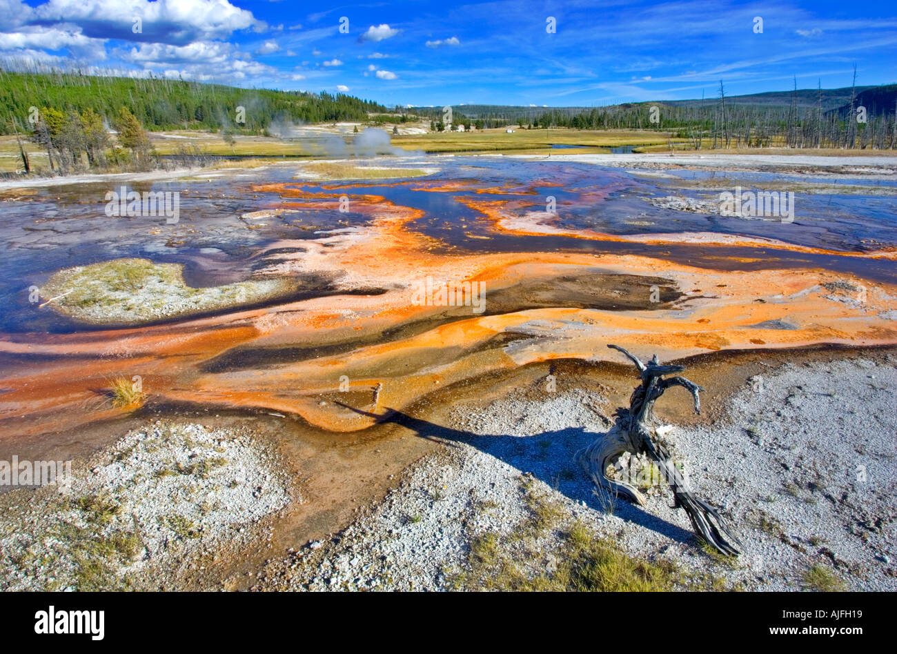 Colorful geyser flow at Yellowstone National Park Stock Photo - Alamy
