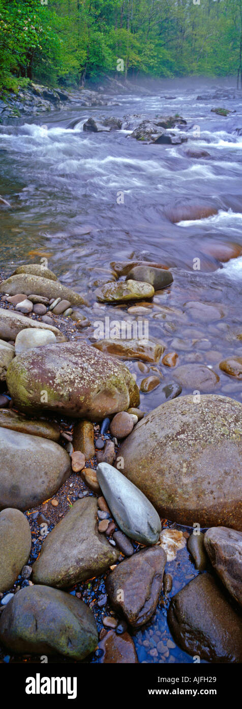 Spring water flow at a rocky stream Stock Photo - Alamy