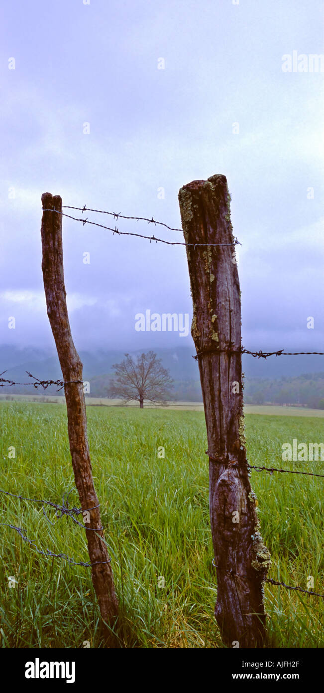 Between the fence hi-res stock photography and images - Alamy